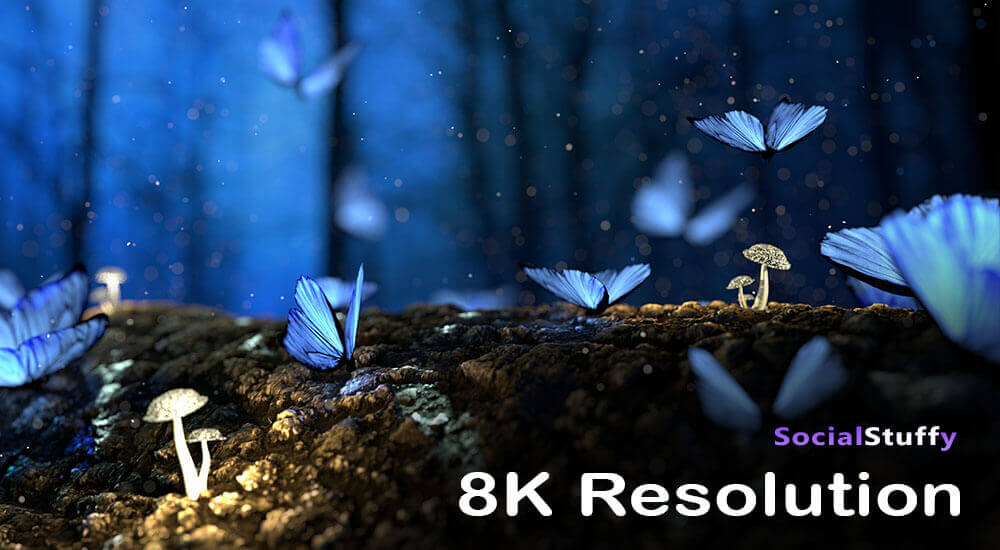 8K Wallpaper : Best Wallpapers for Desktop & Mobile Phones | Uniq ...